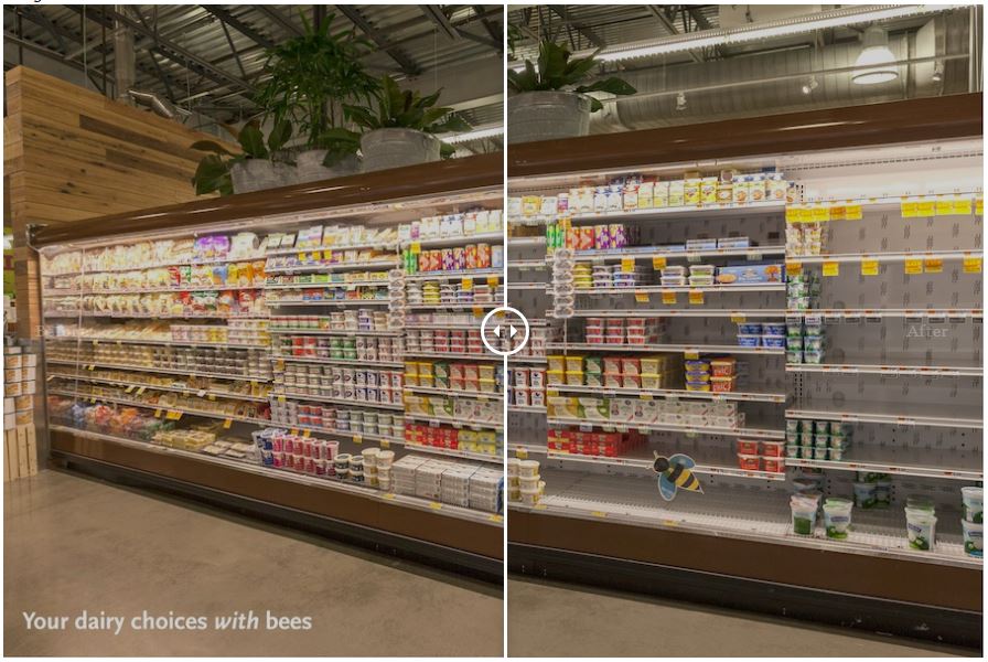 Bees – One in Three Bites of Food You Eat Depends on Them – Nutrient Rich